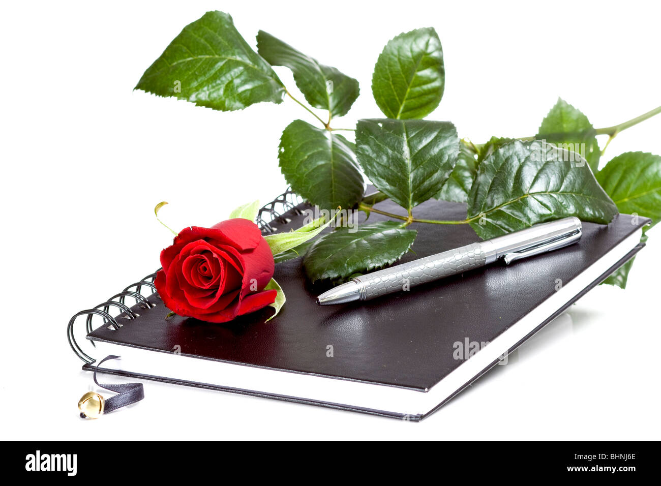 Red rose on the notebook, isolated on white background Stock Photo - Alamy