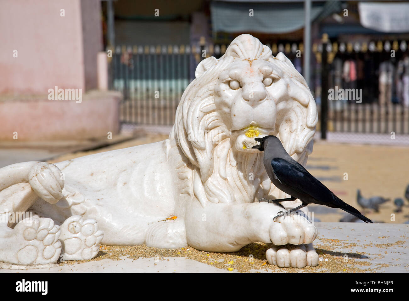 crow and lion marble statue. Karni Mata Temple. Rajasthan. India Stock ...