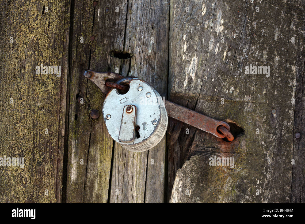 Forest of Birse - Strachan - Scotland - UK Stock Photo - Alamy