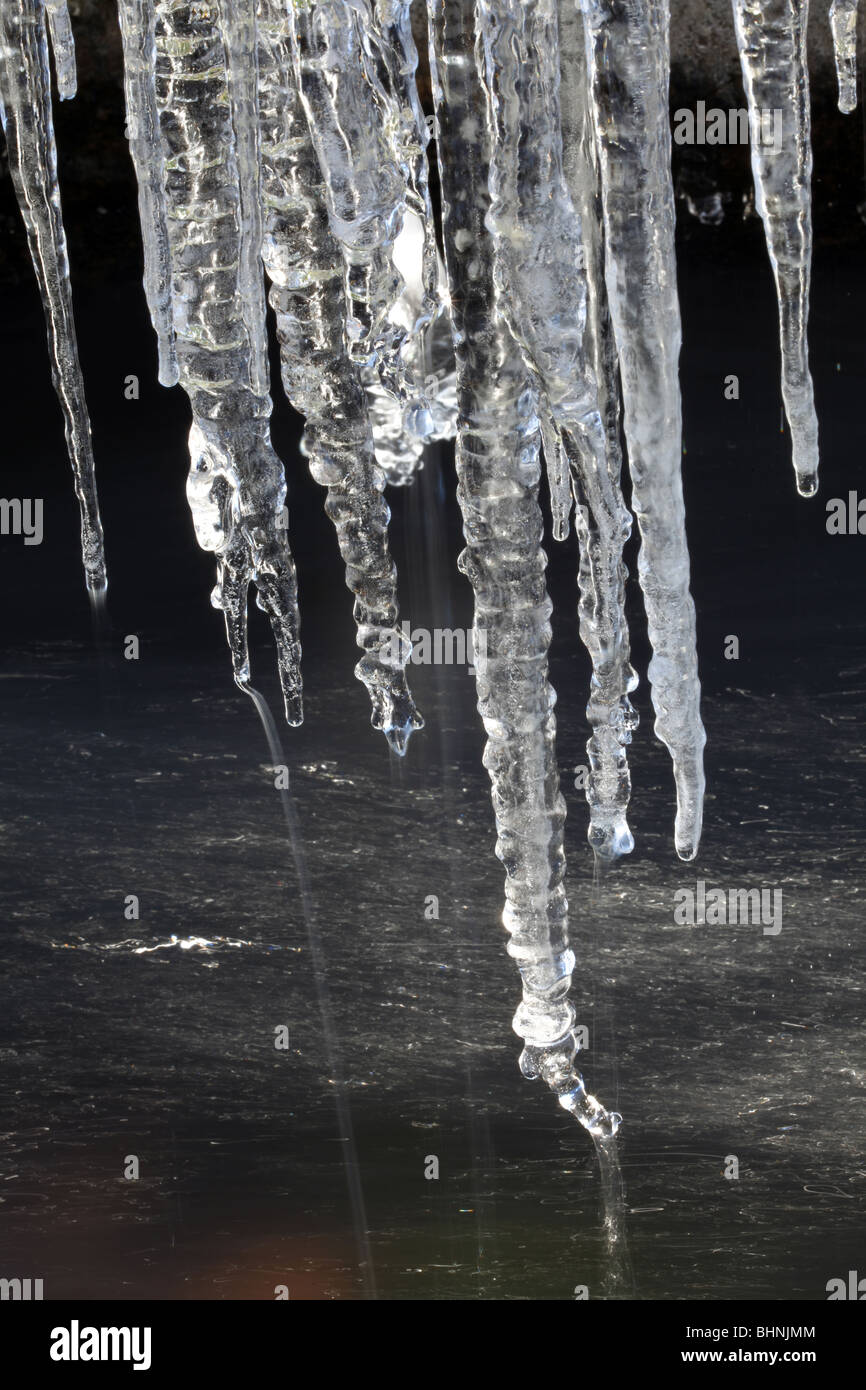 Icicles - Forest of Birse - Strachan - Scotland - UK Stock Photo - Alamy