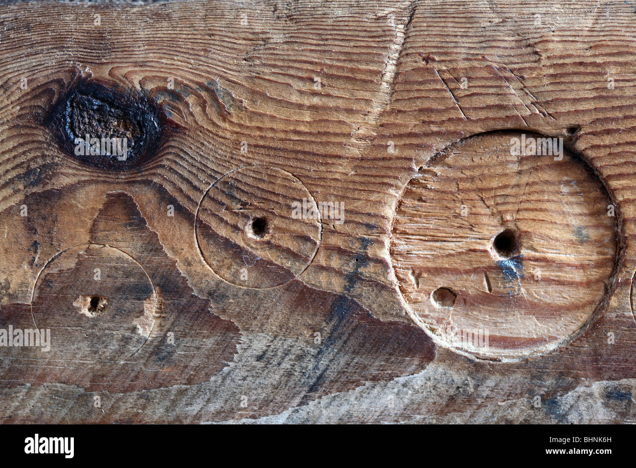 Forest of birse hi-res stock photography and images - Alamy