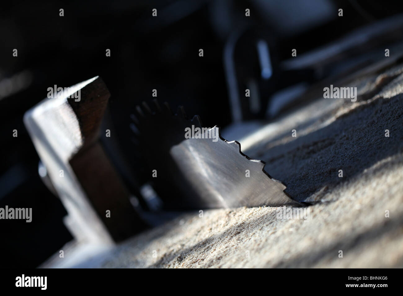 Forest of birse hi-res stock photography and images - Alamy