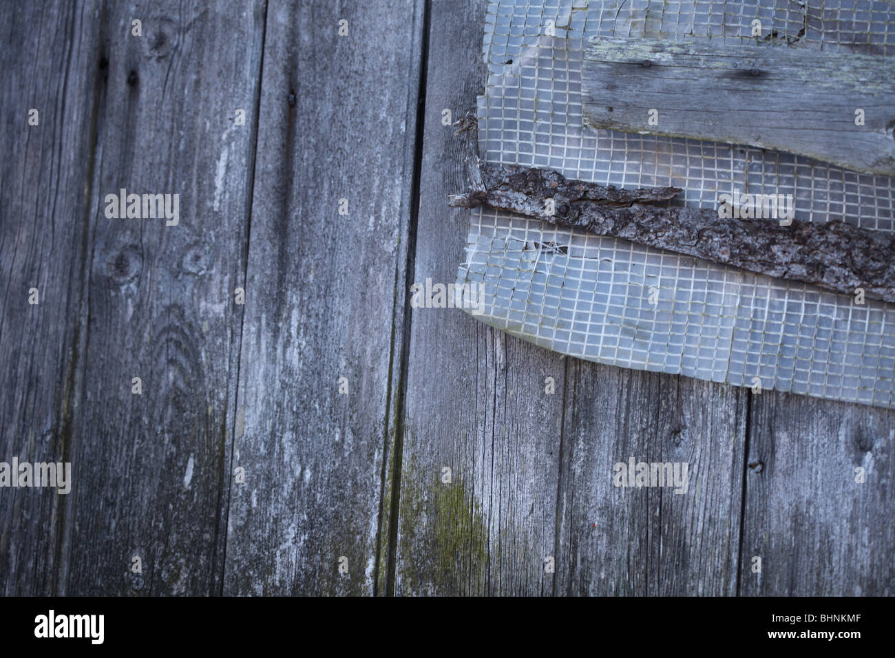Forest of birse hi-res stock photography and images - Alamy