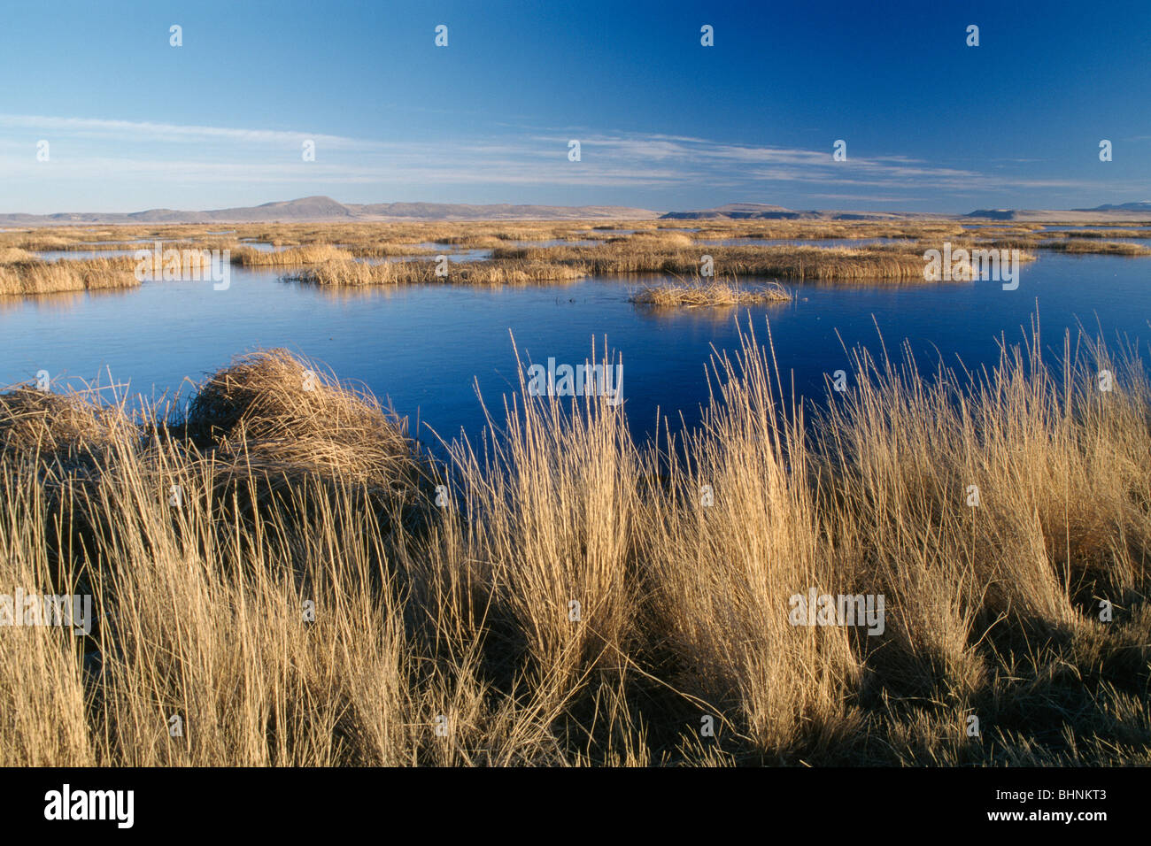 Klamath marsh hi-res stock photography and images - Alamy