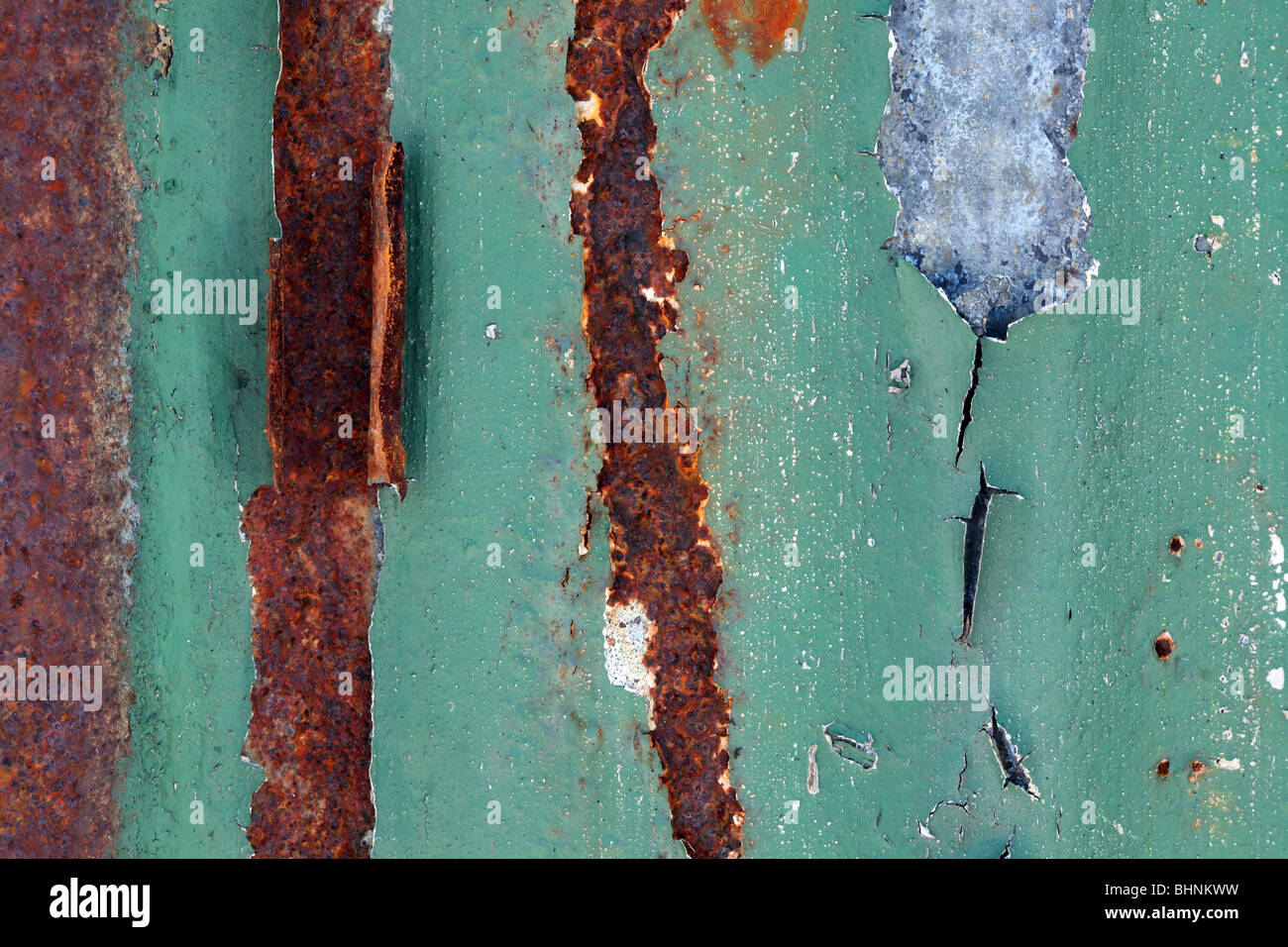 Forest of birse hi-res stock photography and images - Alamy