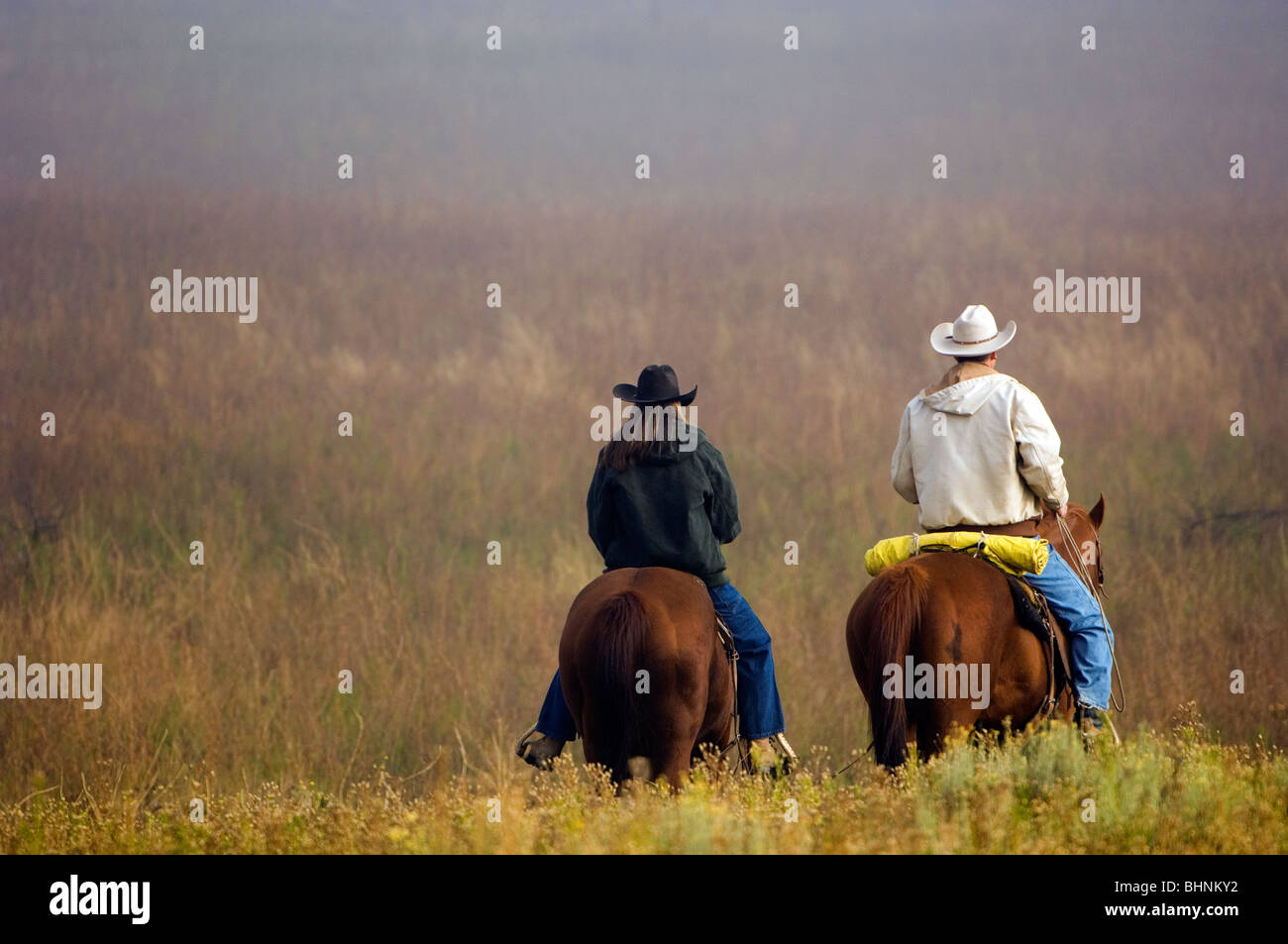 Cowboys riding the range hi-res stock photography and images - Alamy