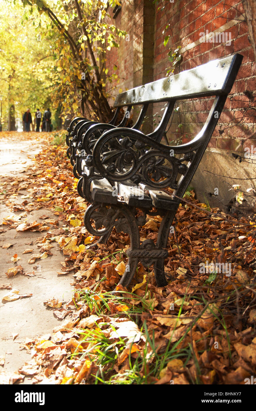 Bench and Autumn leaves Stock Photo - Alamy