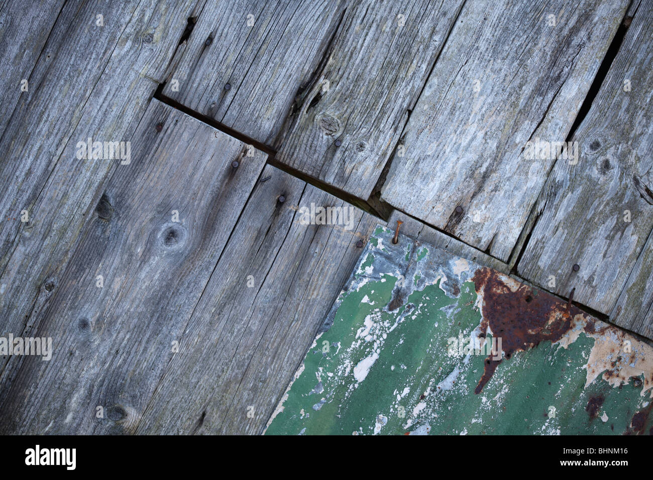 Forest of birse hi-res stock photography and images - Alamy
