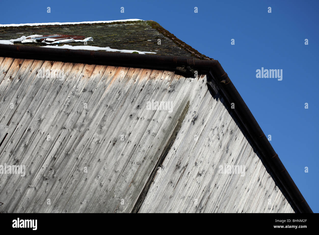 Forest of birse hi-res stock photography and images - Alamy