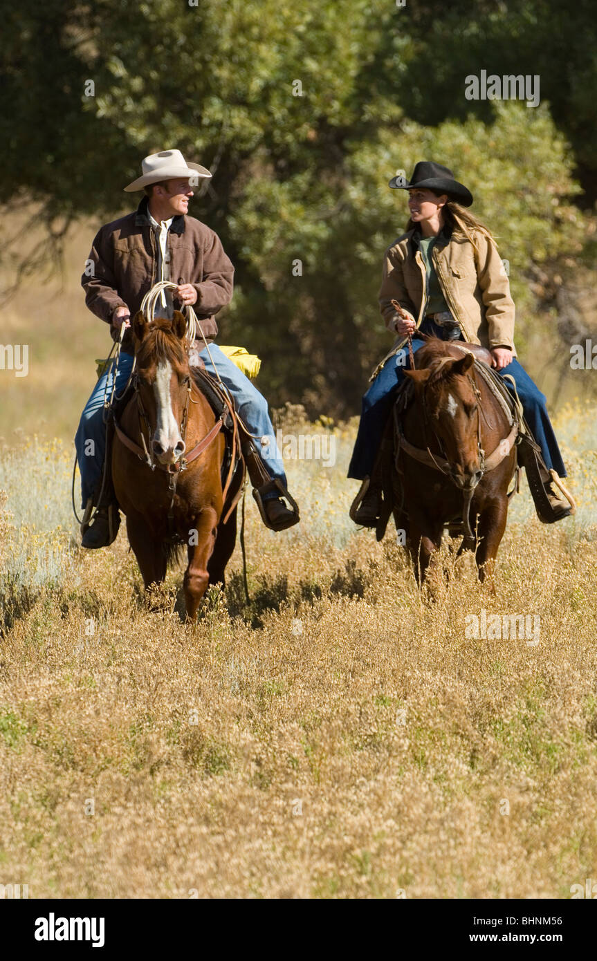 Cowboys & cowgirls riding the range herding cattle Stock Photo - Alamy