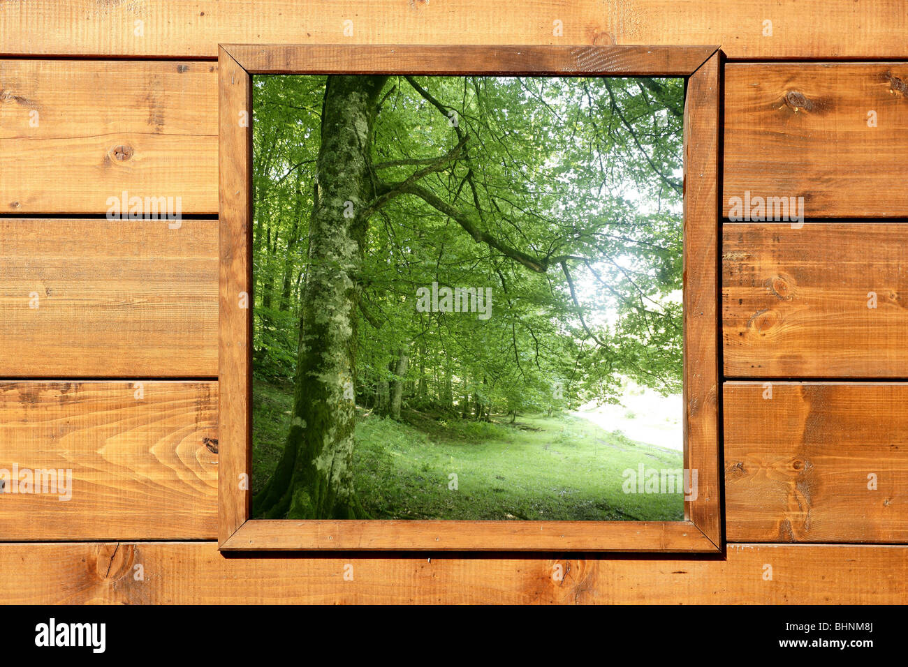 Wooden window jungle green forest view from wood cabin Stock Photo - Alamy