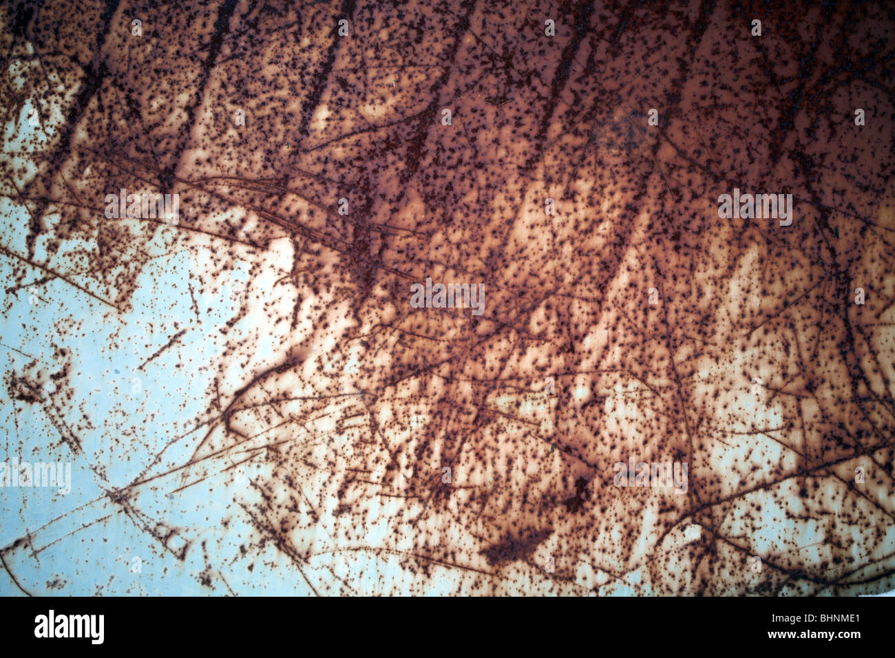 Forest of Birse - Strachan - Scotland - UK Stock Photo - Alamy