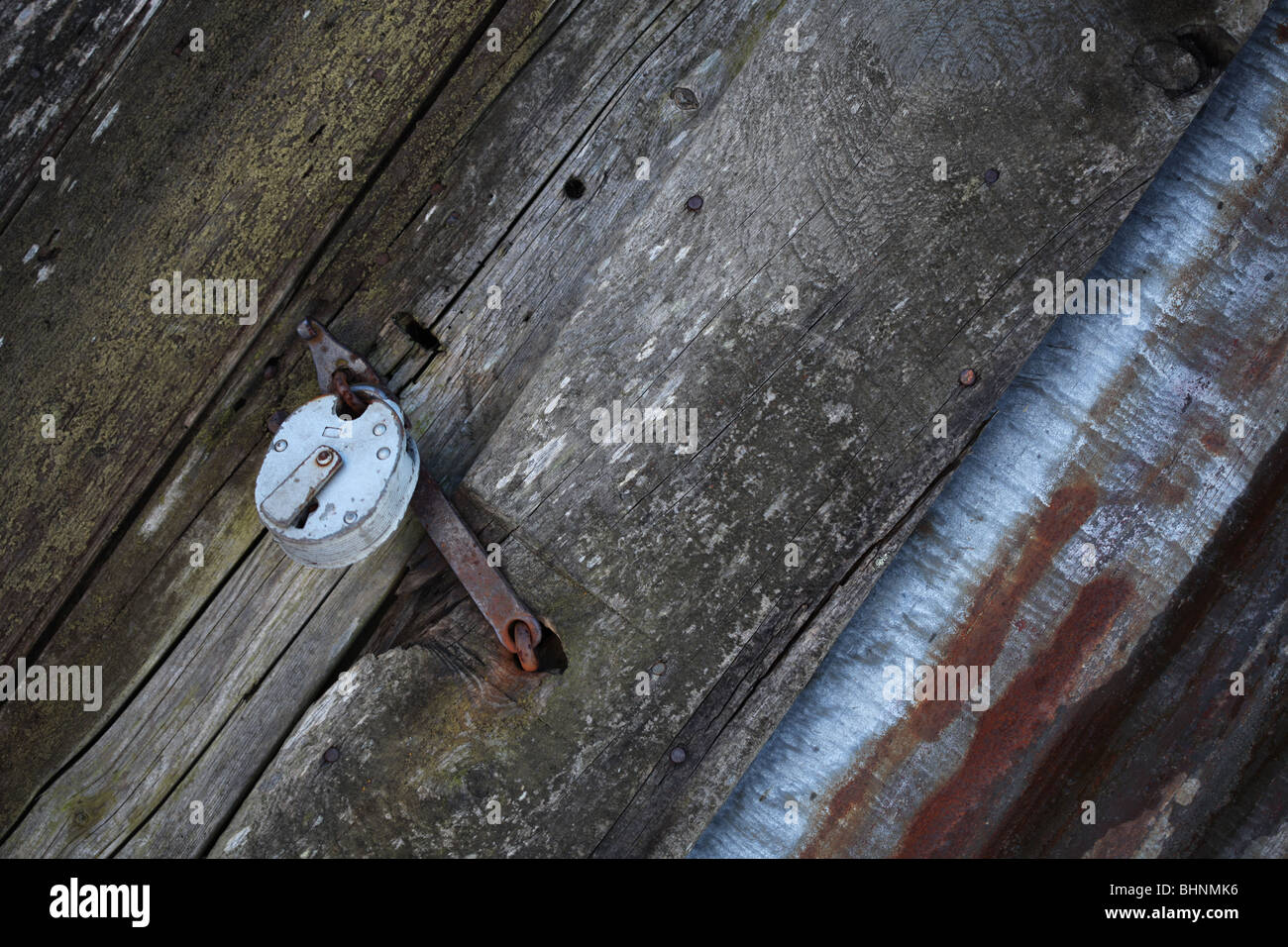 Forest of birse hi-res stock photography and images - Alamy
