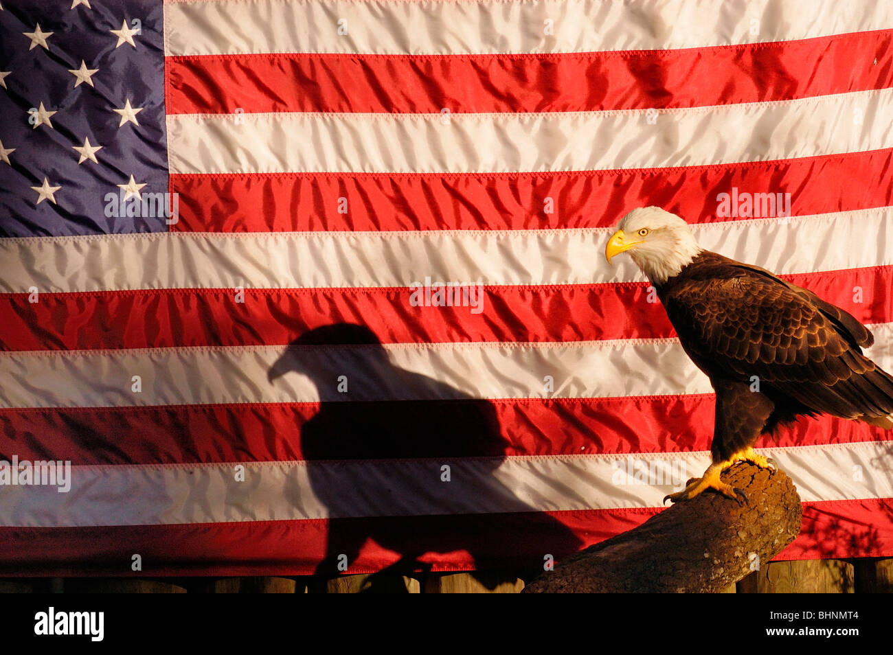 Abraham Lincoln Riding An Eagle