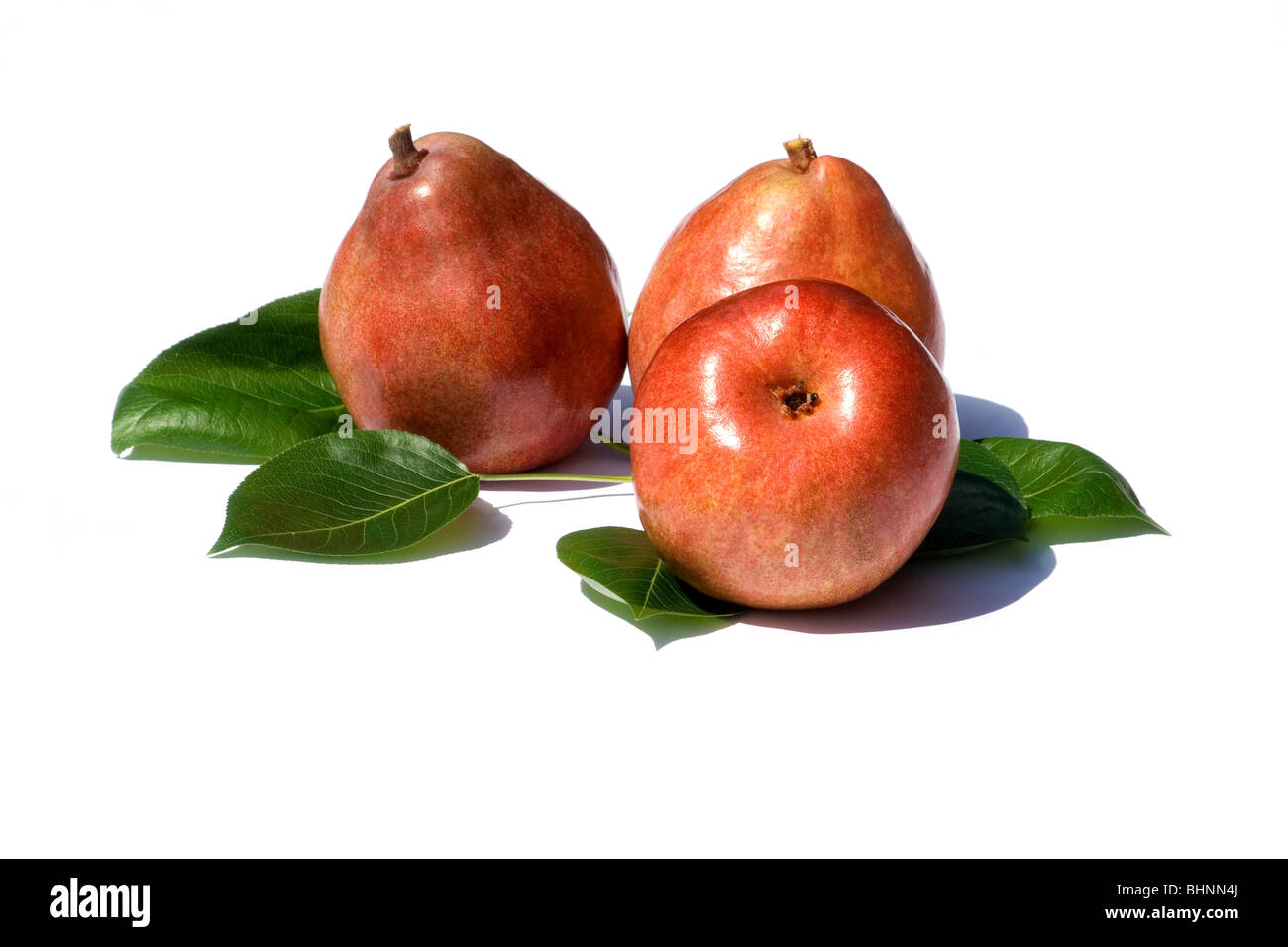 Red pear leaf cut out hi-res stock photography and images - Alamy