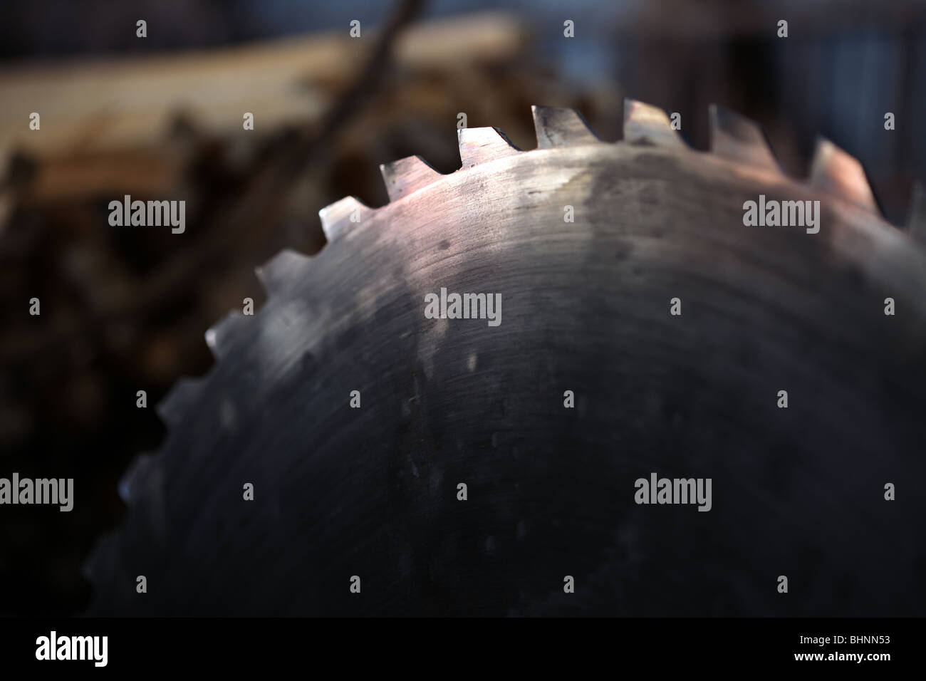 Forest of birse hi-res stock photography and images - Alamy