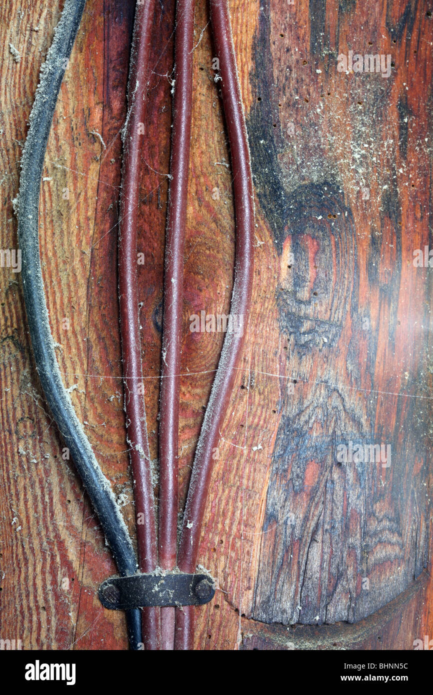 Forest of birse hi-res stock photography and images - Alamy