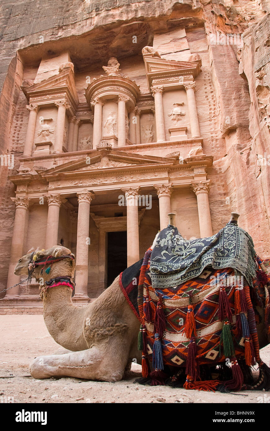 Petra jordan camel temple canyon hi-res stock photography and images ...