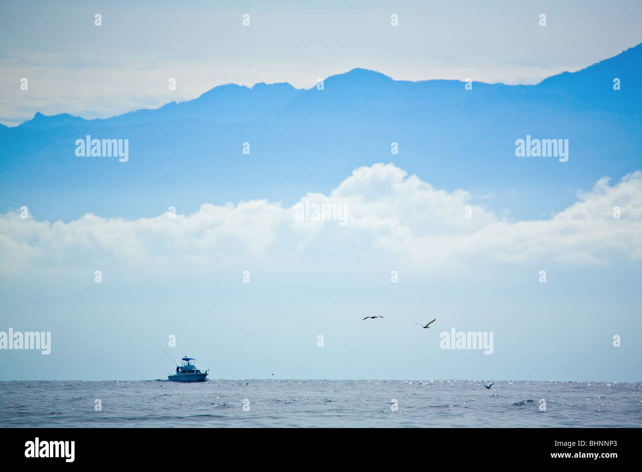 Early morning deep sea fishing Stock Photo - Alamy