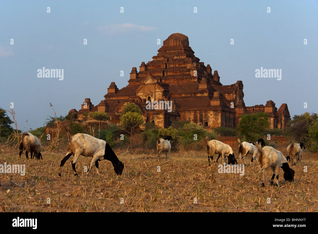 Ancient Bagan temple in Myanmar Stock Photo - Alamy