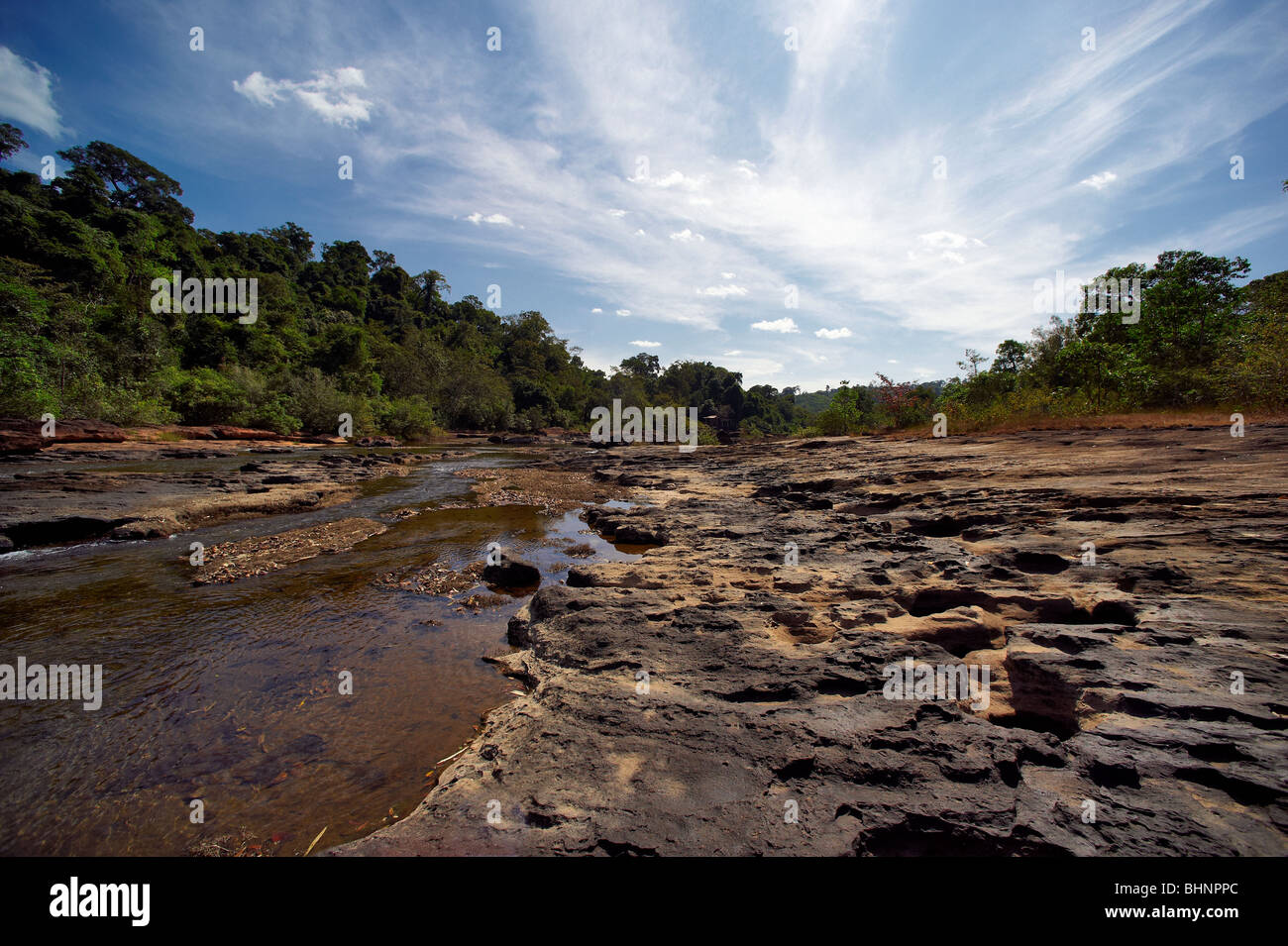 The tropical forest of Laos Stock Photo - Alamy