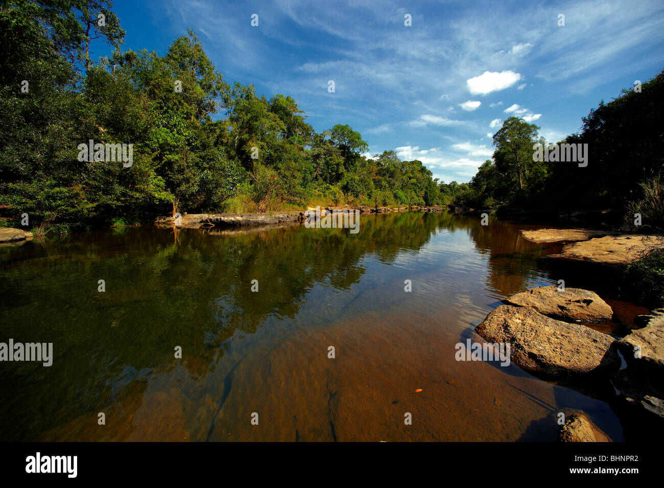 The tropical forest of Laos Stock Photo - Alamy