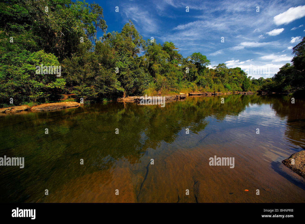 The tropical forest of Laos Stock Photo - Alamy