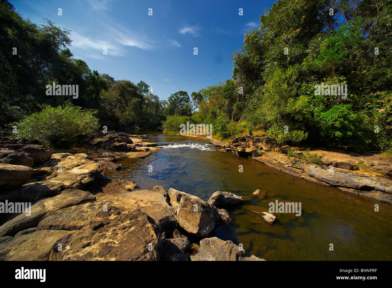 The tropical forest of Laos Stock Photo - Alamy