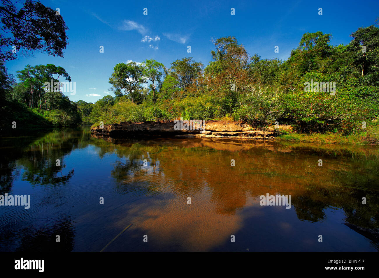 The tropical forest of Laos Stock Photo - Alamy