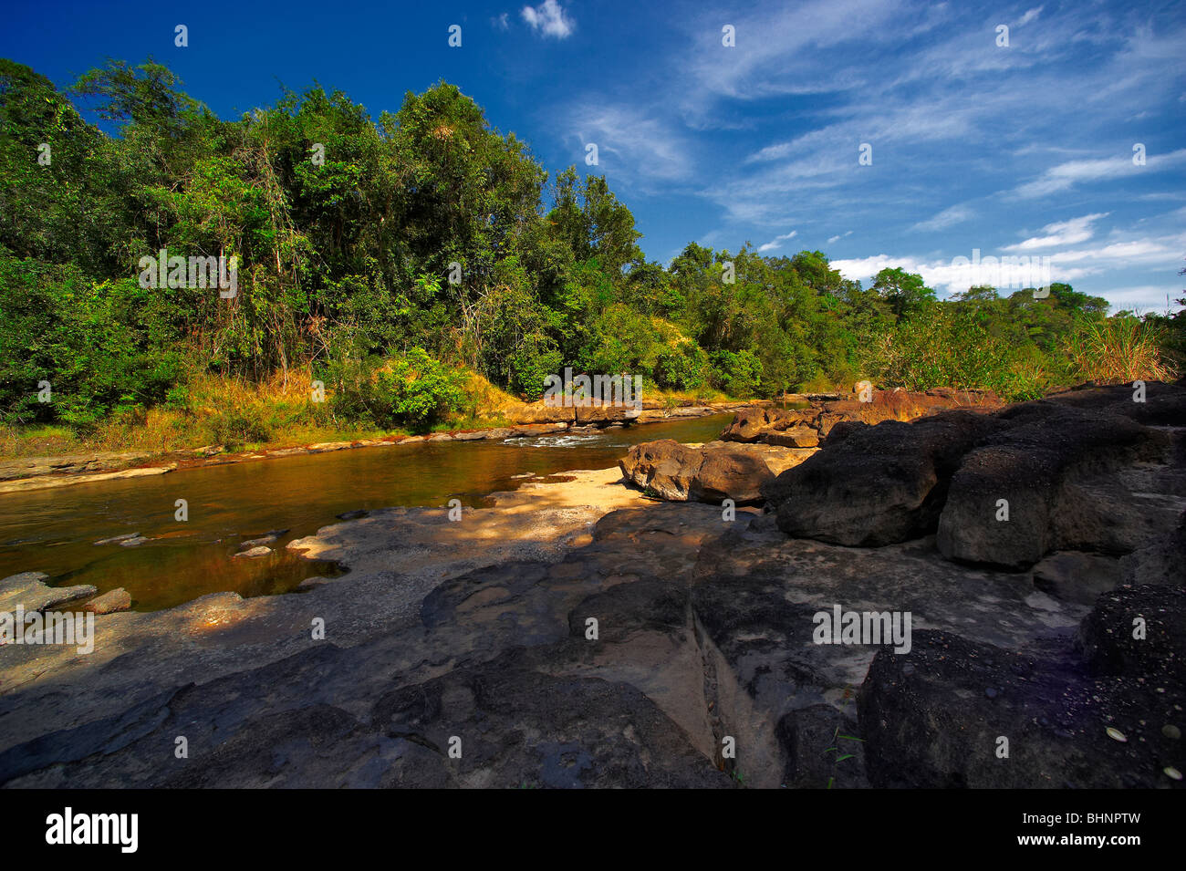 The tropical forest of Laos Stock Photo - Alamy