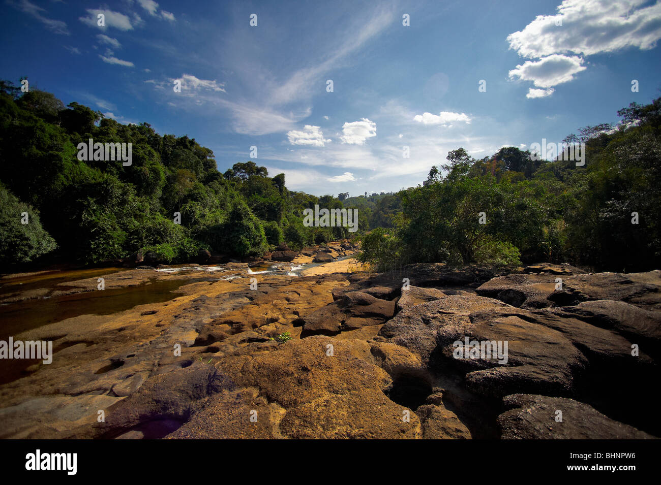 The tropical forest of Laos Stock Photo - Alamy