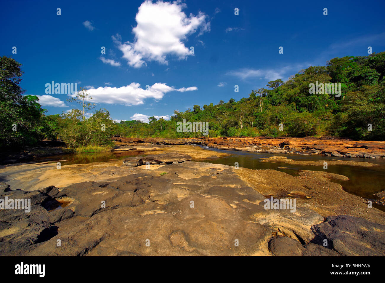 The tropical forest of Laos Stock Photo - Alamy