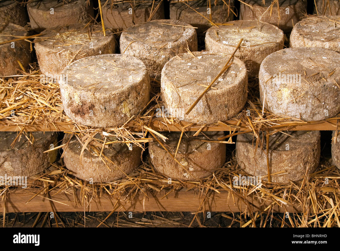 Fossa cheese hi-res stock photography and images - Alamy