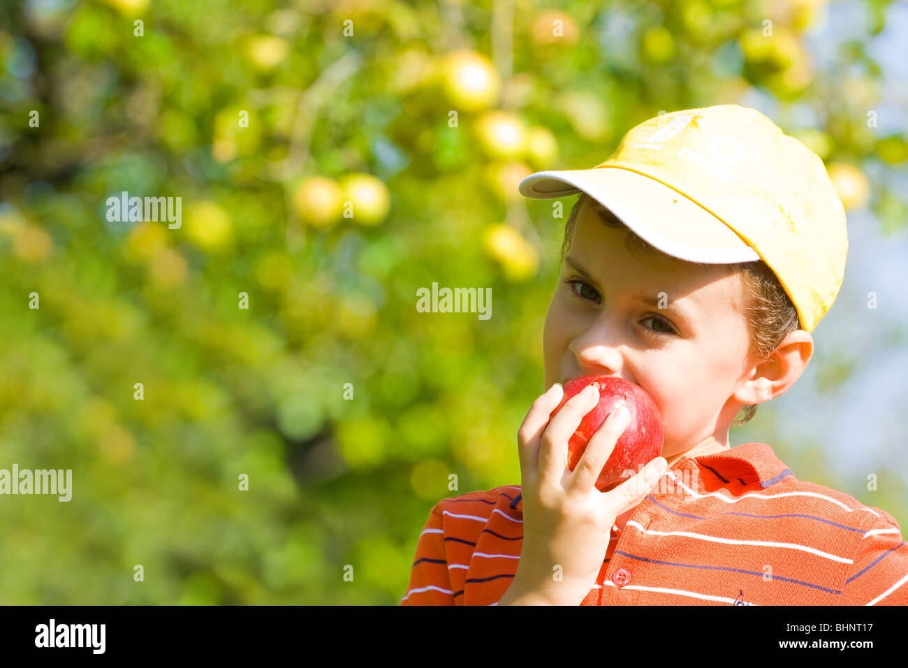 Beautiful boy eating a delicious red apple Stock Photo - Alamy