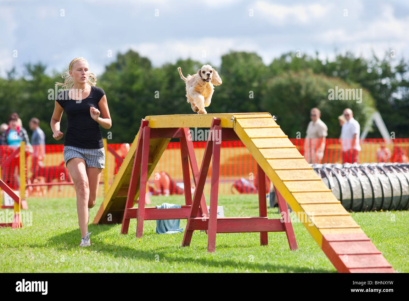 All american dog agility competition hi-res stock photography and ...