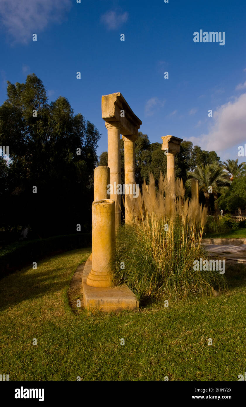 Roman ruins of 3rd Century in Tunis Tunisia in Northern Africa Stock ...