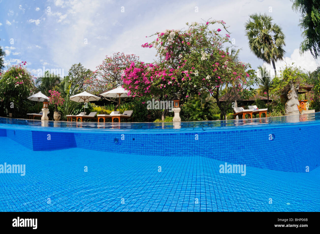 Split level picture of outdoor swimming pool in tropical garden, Bali ...