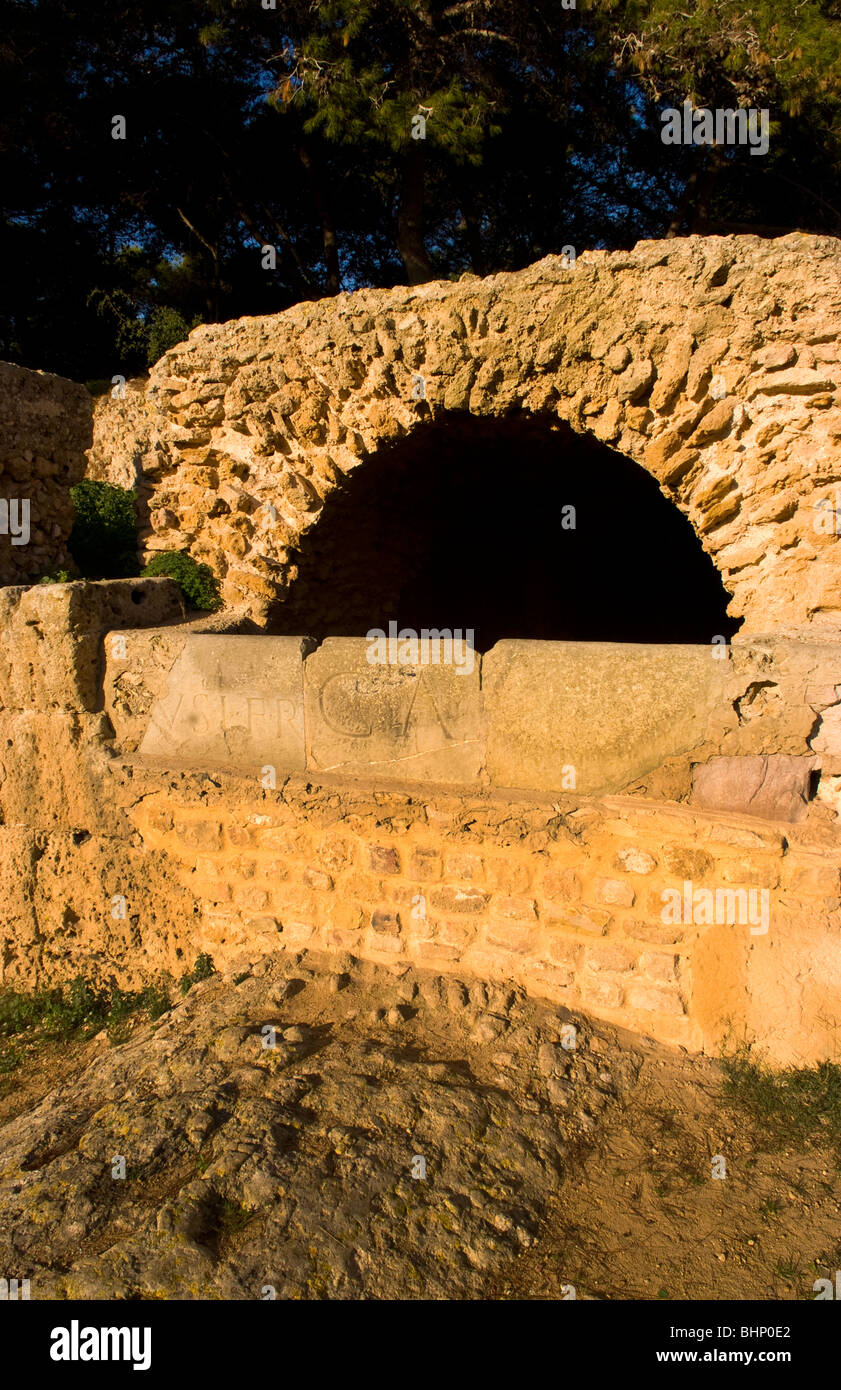 Carthage Tunisia Roman Amphitheater old ruins in Northern Africa Stock ...