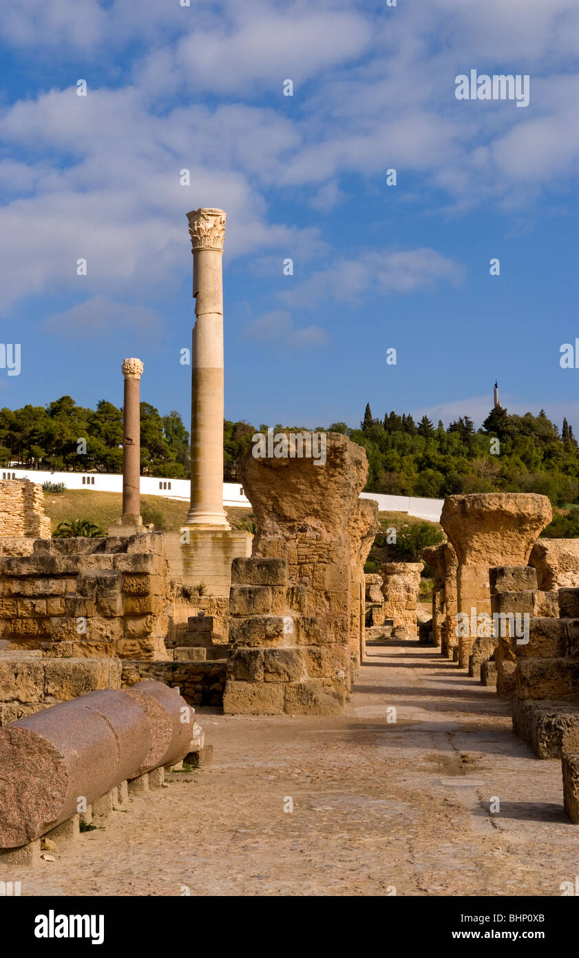 Carthage Tunisia old city with Roman baths of Antoninus Pius in 138 AC ...