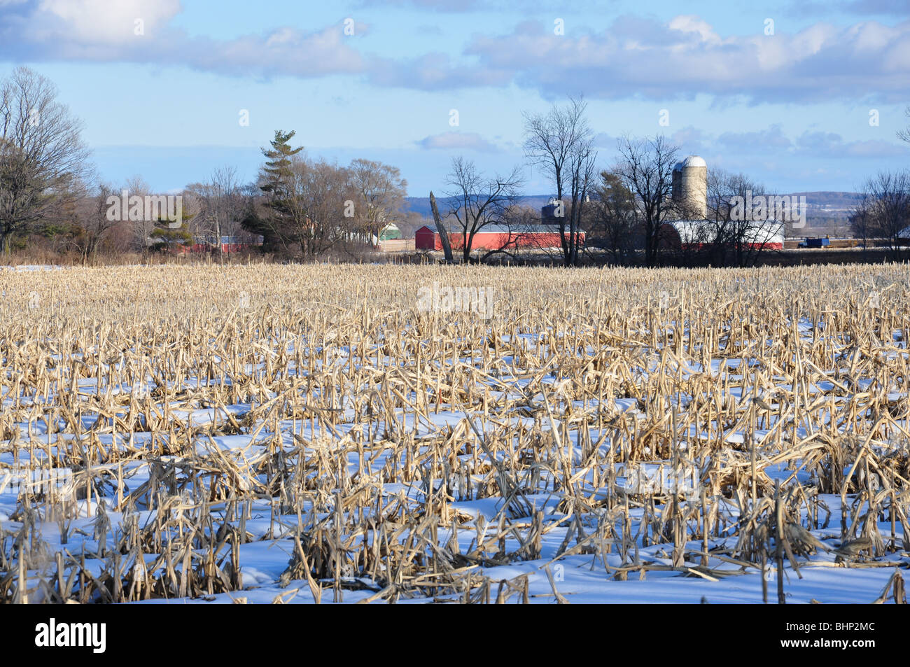 Farm on frozen corn field in Ontario Canada Stock Photo - Alamy