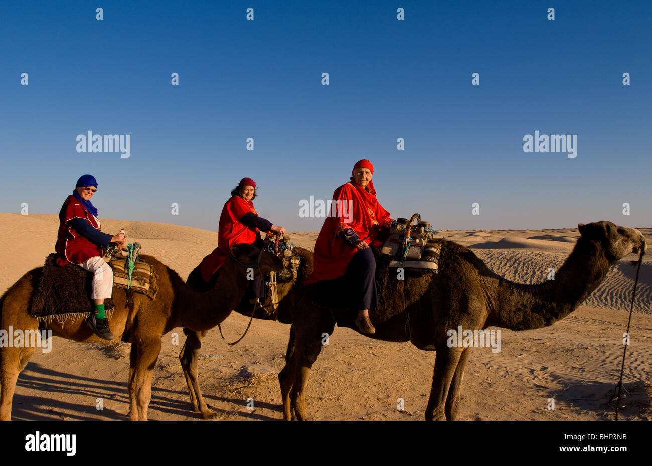 Tourists on camel ride in Douz in Sahara Desert in Tunisia Africa Stock ...