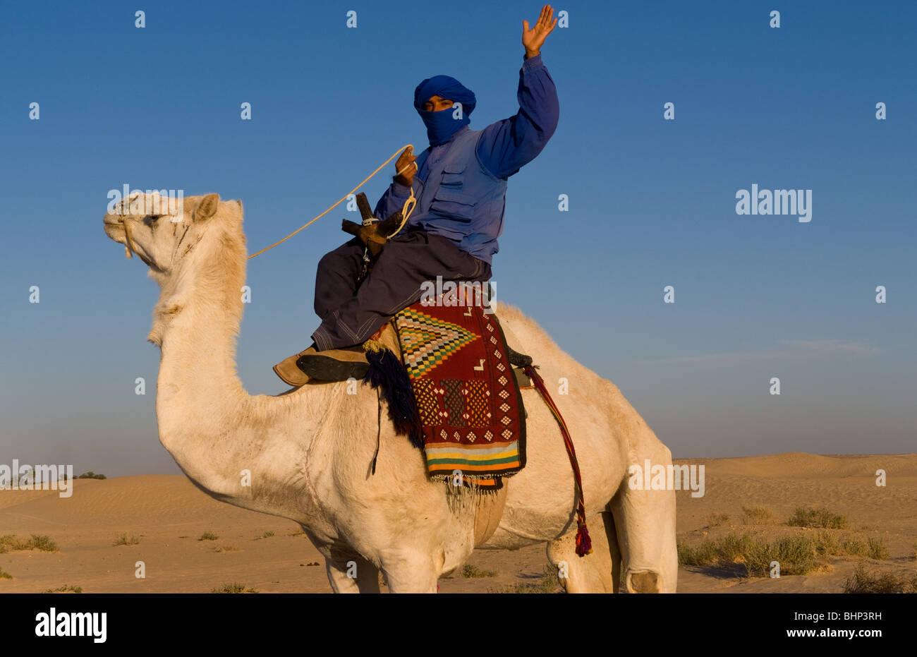Local Bedouin man on camel ride in Douz in Sahara Desert in Tunisia ...