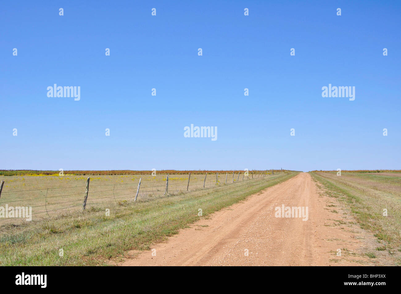 Texas high plains ranch hi-res stock photography and images - Alamy