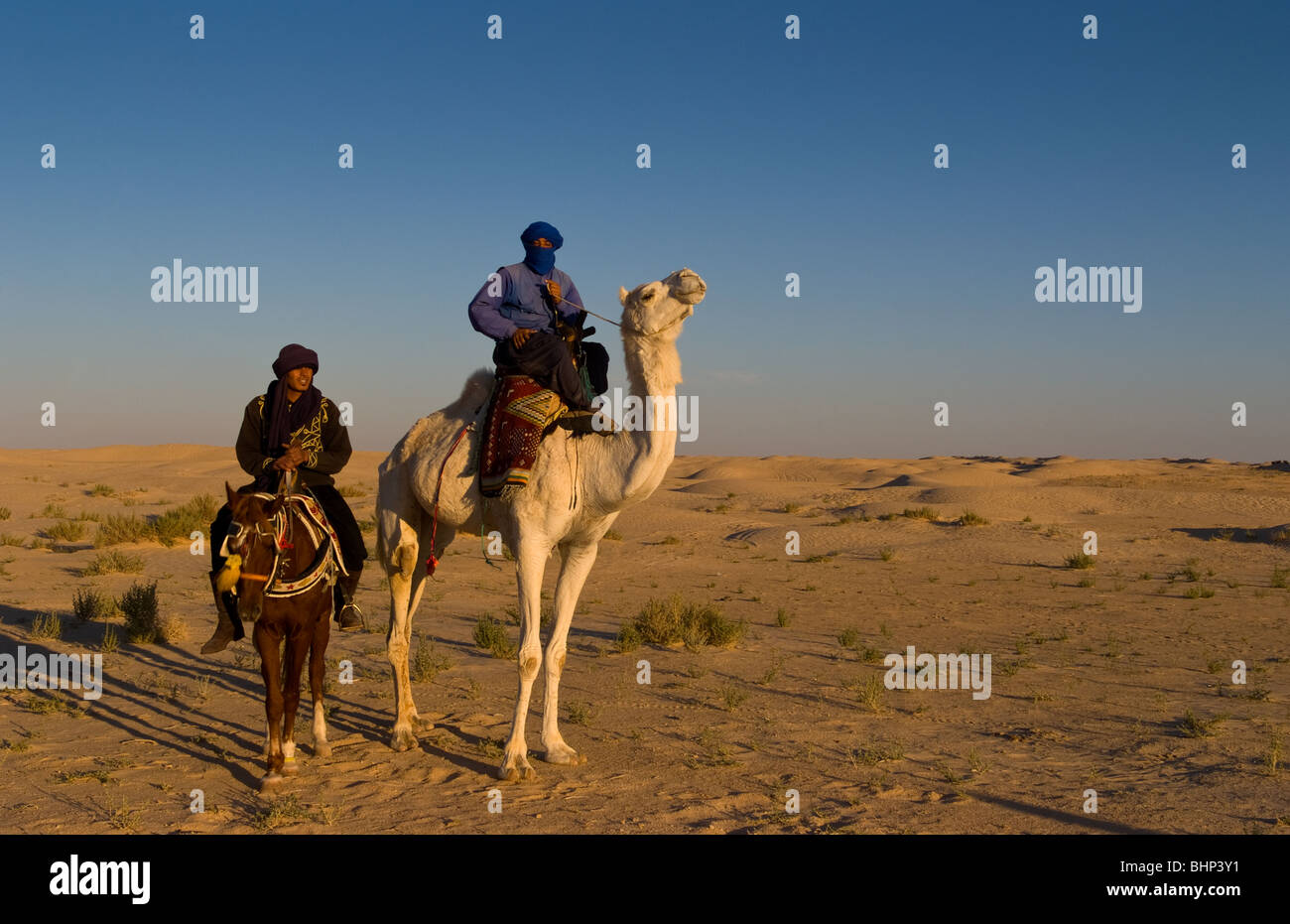 Bedouin men on camel ride adventure in Douz Sahara Desert in Tunisia ...