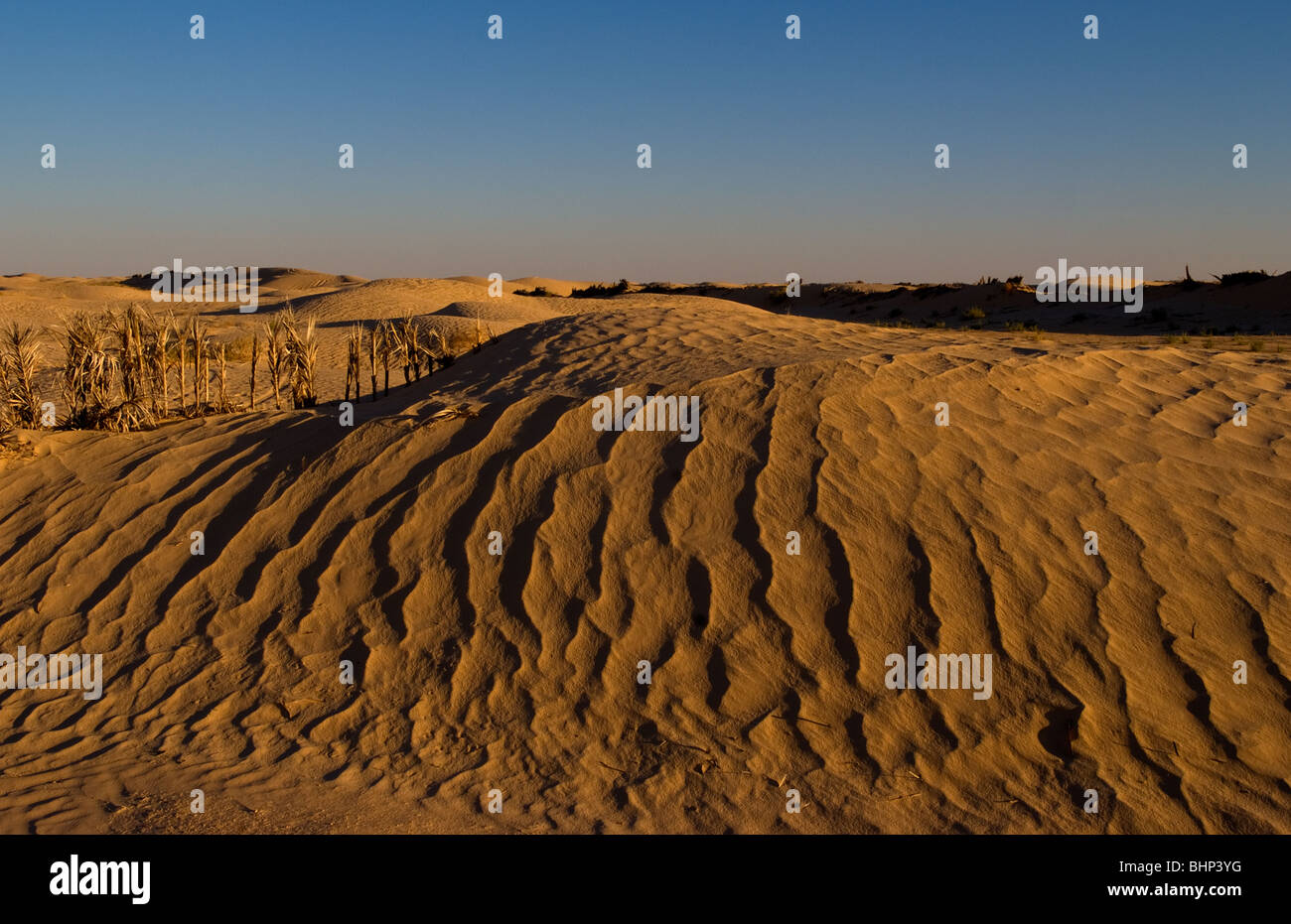 Ripples in sand in the Sahara desert in Douz in Tunisia Africa Stock ...