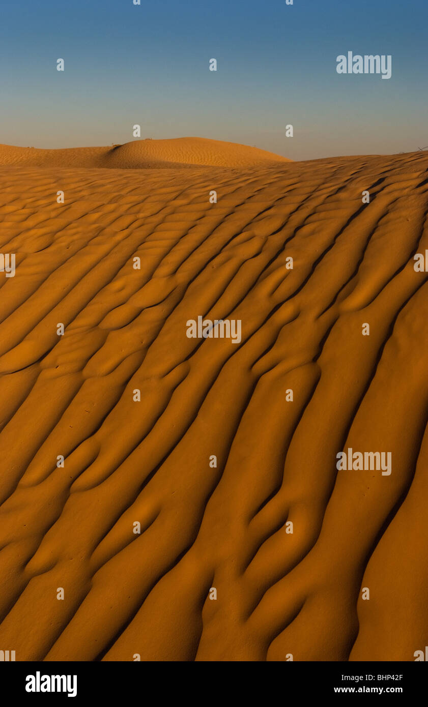 Ripples in sand in the Sahara desert in Douz in Tunisia Africa Stock ...