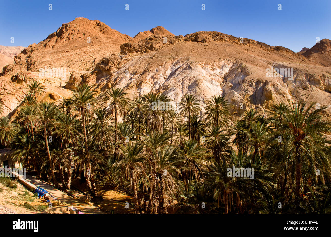 Oasis town plam trees chebika near mides tamerza hi-res stock ...