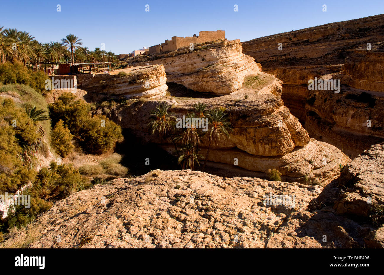 Oasis Town with plam trees of Chebika near Mides and Tamerza Tunisia in ...
