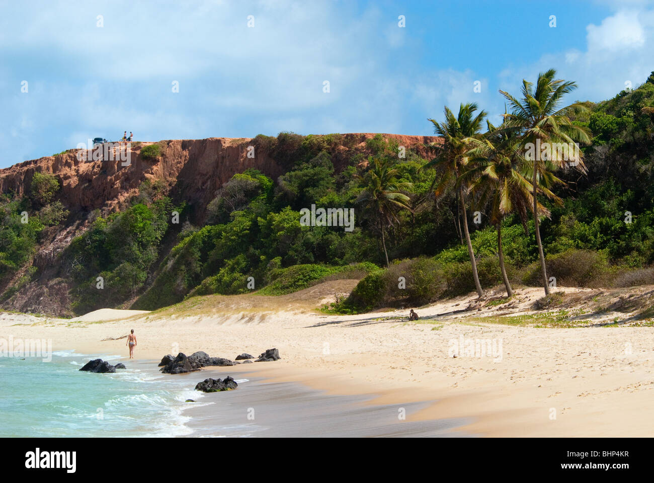 Pipa beach brazil hi-res stock photography and images - Alamy