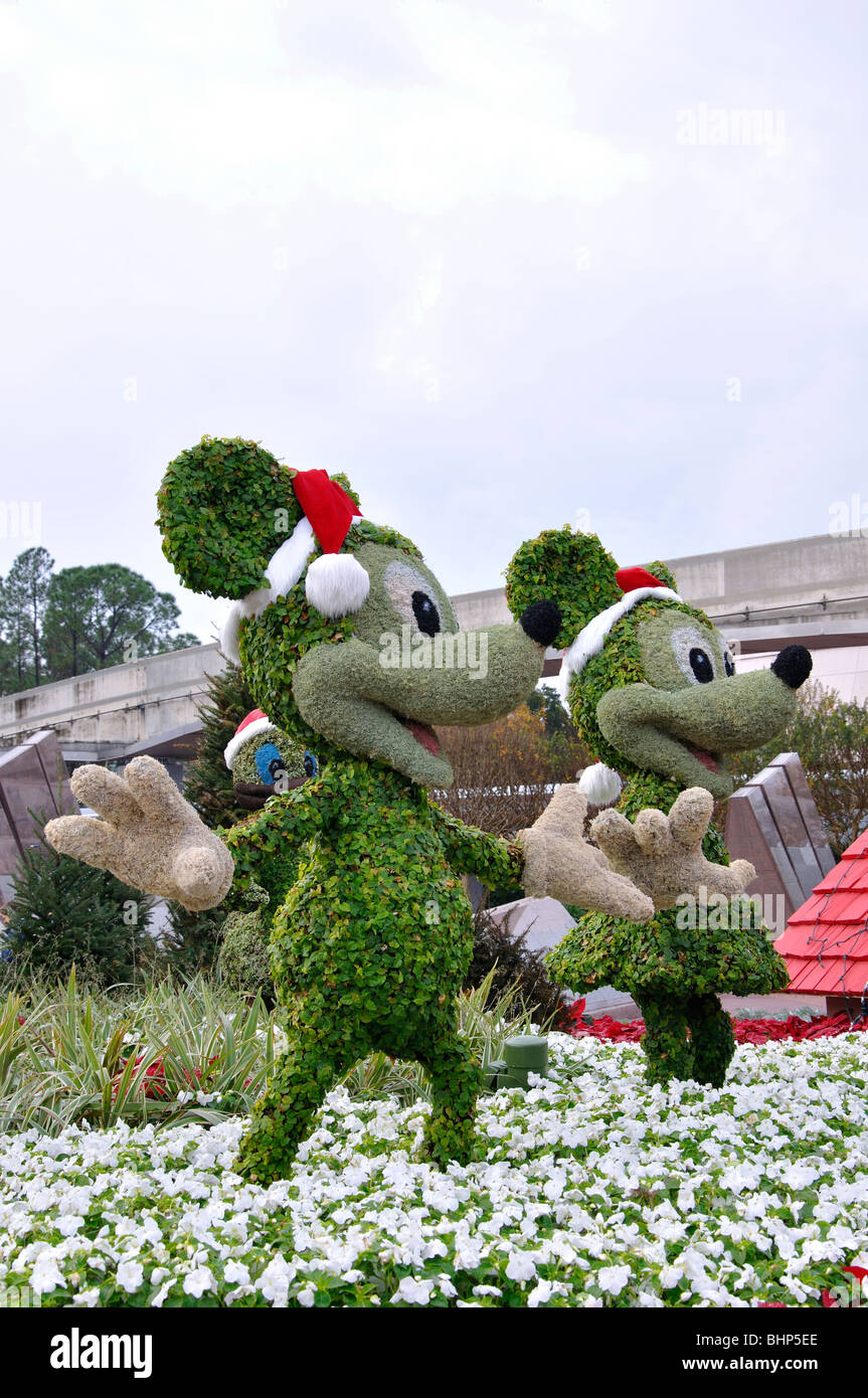 Mickey and Minnie Mouse shaped bushes at Epcot, Disneyworld,Orlando ...